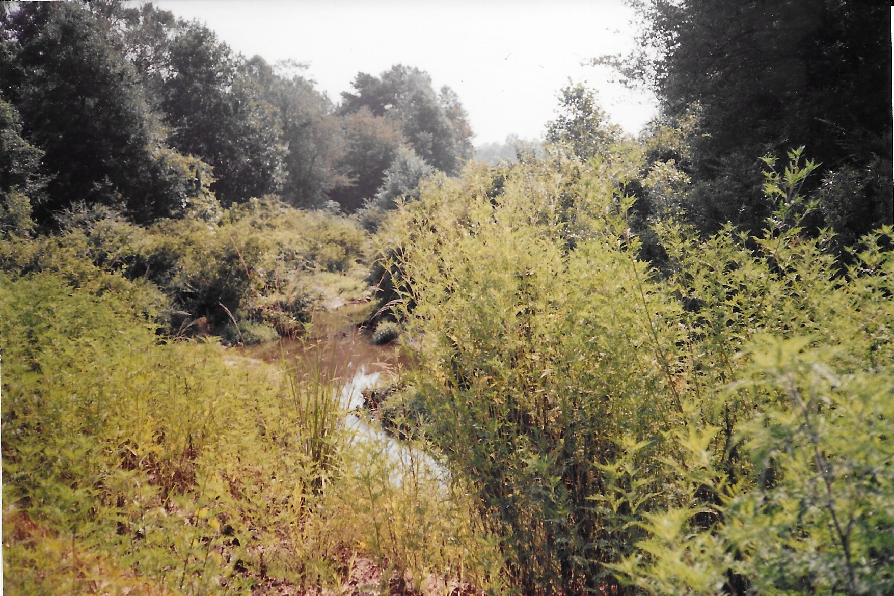 The Music Story Behind “Jones County Jubilee” and the “Free State of ...