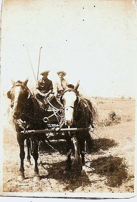 Rescue Mission to Monkey Run: The Case of the Wiggs Children – Lost ...